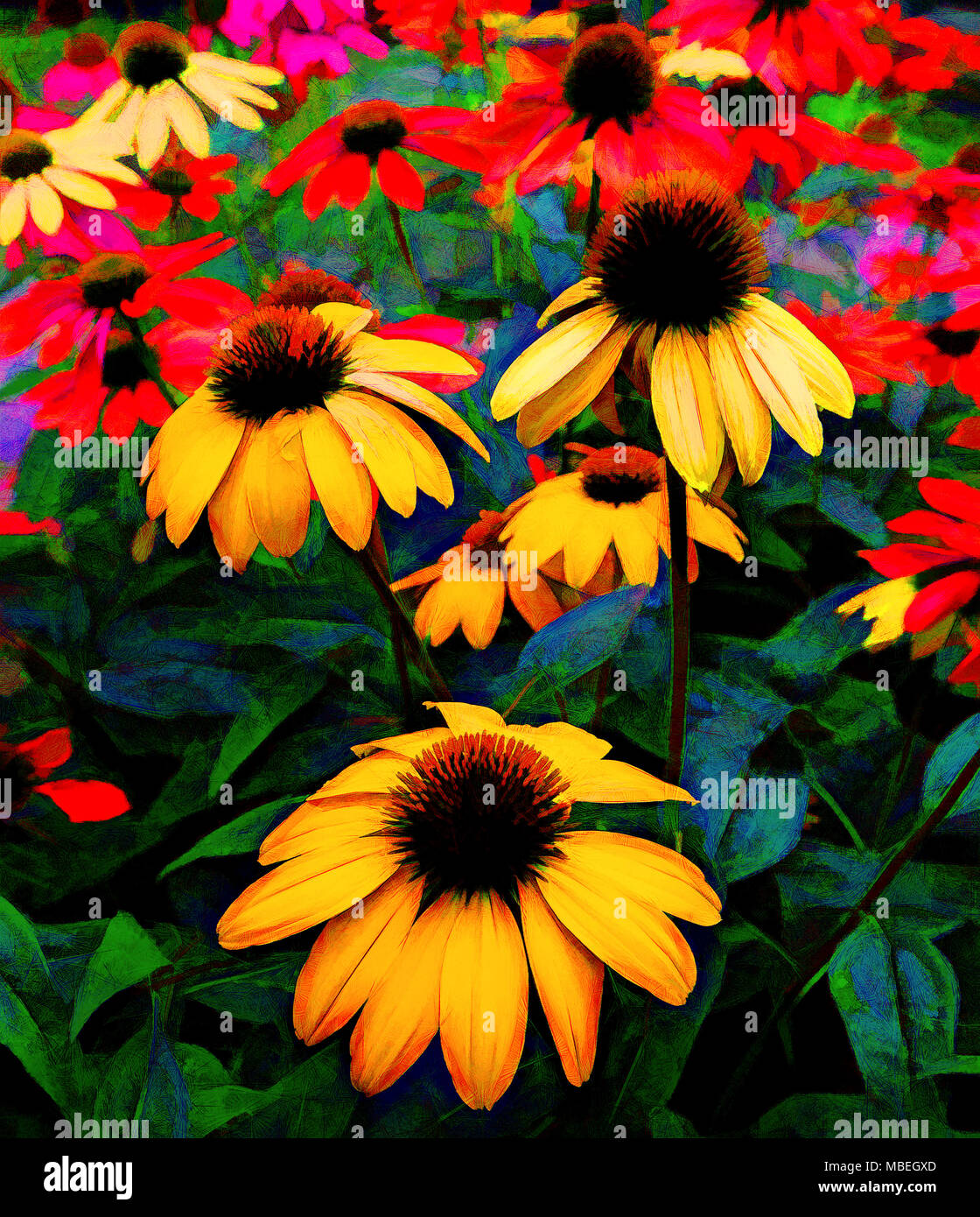 Yellow petals flowers in colorful garden Stock Photo - Alamy