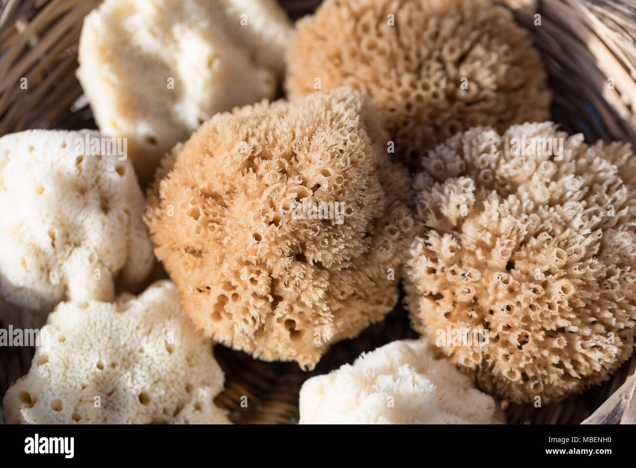 Sponges in a basket, diverse colors, Mediterranean sea, Greece Stock ...