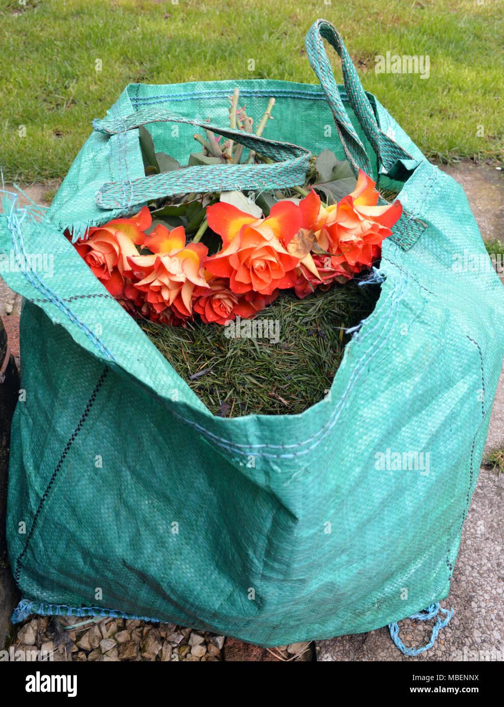Biodegradable waste hi-res stock photography and images - Alamy