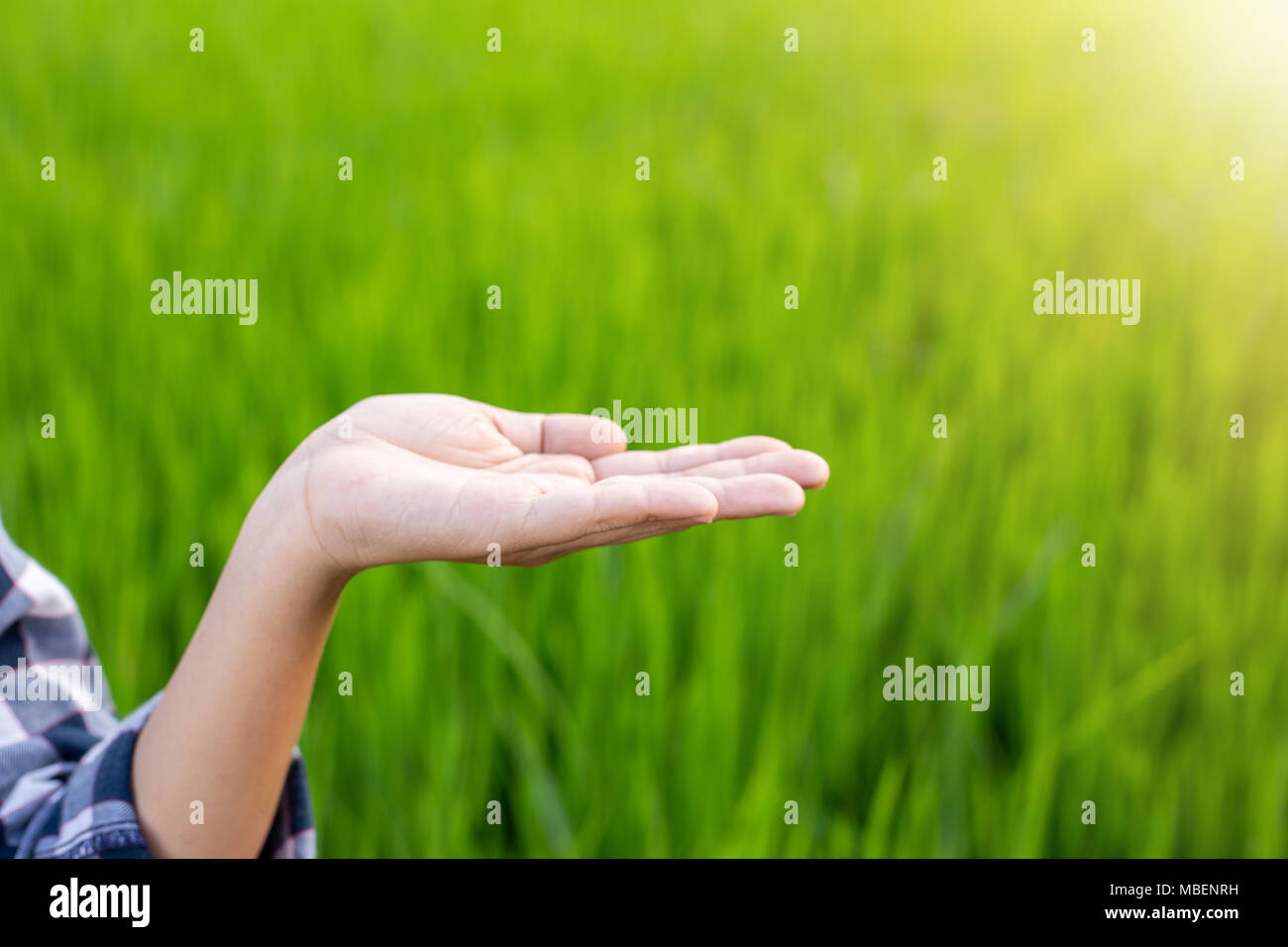 happy farmer open the palm of the hand Stock Photo - Alamy