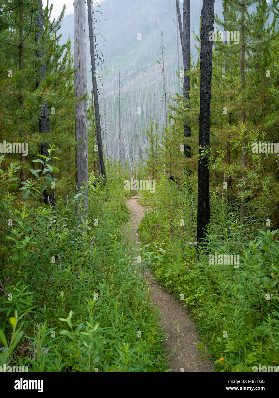 Columbia edgewater hi-res stock photography and images - Alamy