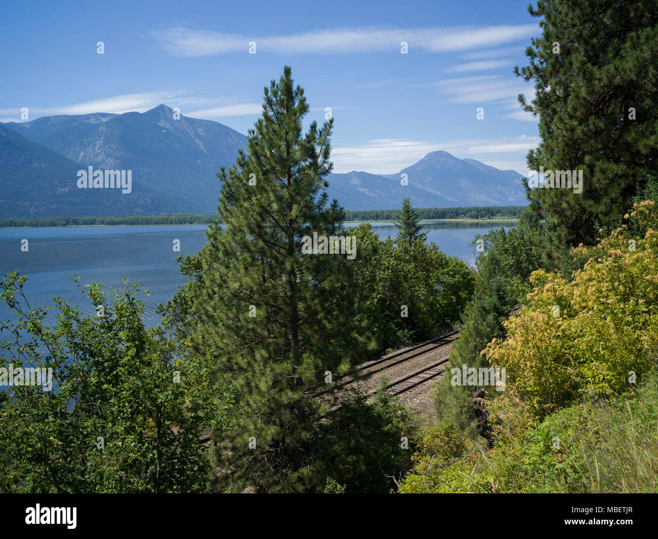 Trees with mountain range in the background, Creston, British Columbia ...