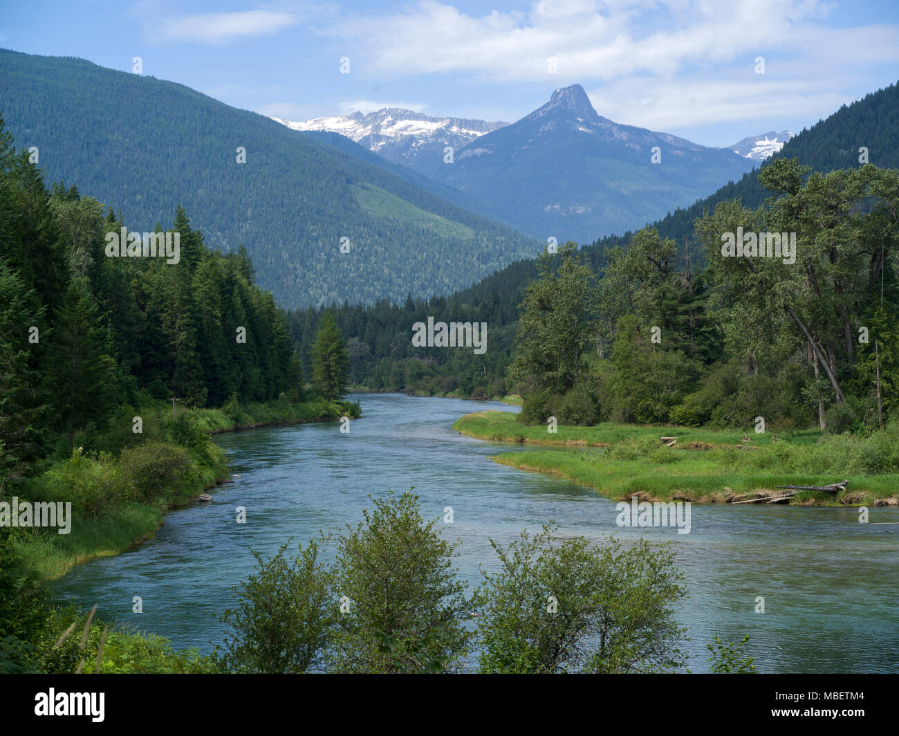 River flowing through forest, Nelson, British Columbia, Canada Stock ...