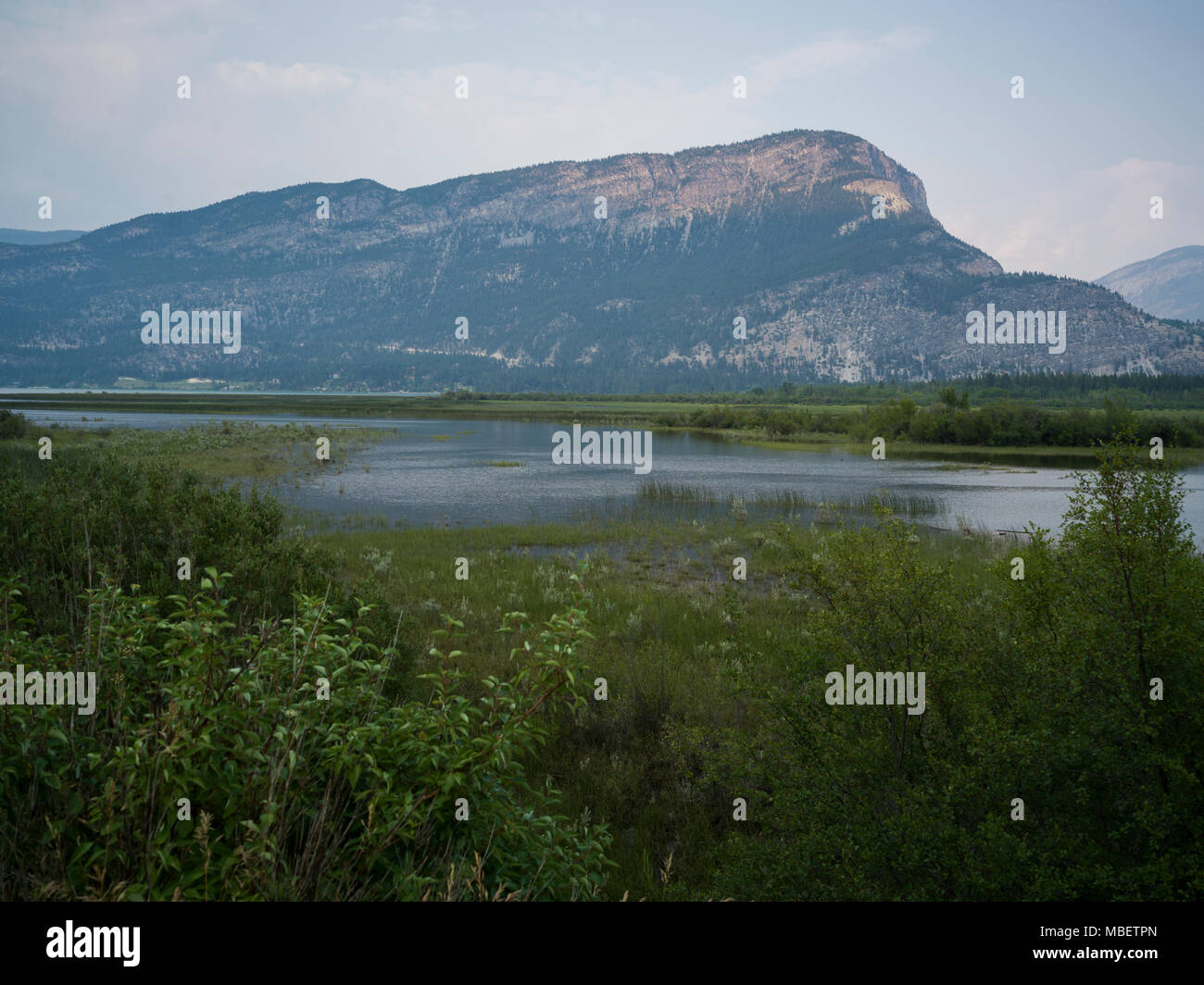 Lake with mountain in the background, Columbia Lake, Invermere, British ...