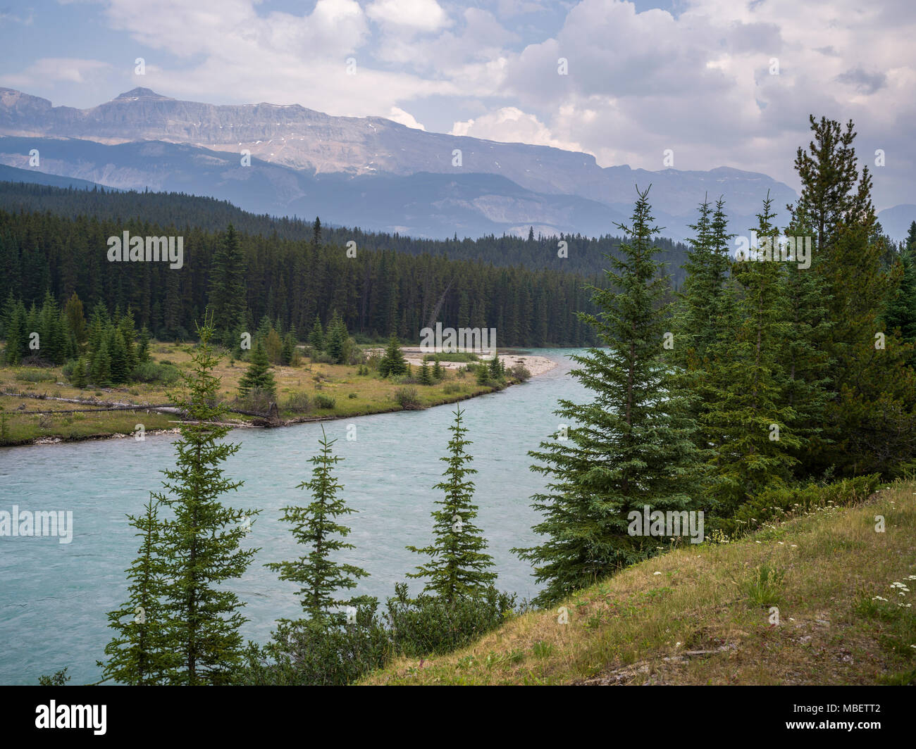 River flowing through forest, East Kootenay, British Columbia, Canada ...