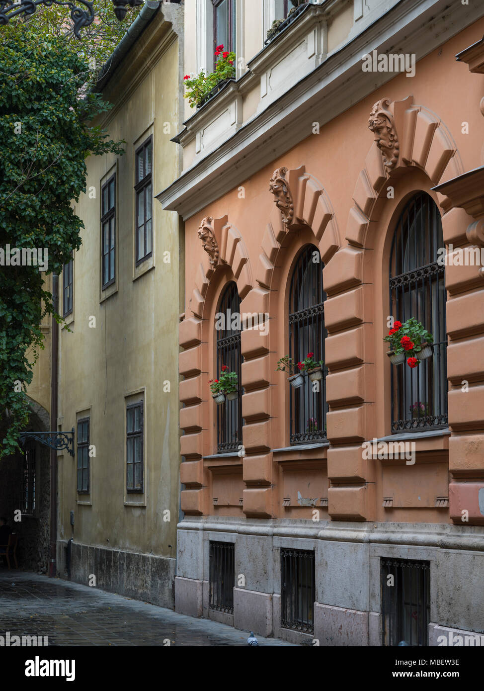 Windows with flower boxes, Buda's Castle District, Budapest, Hungary ...
