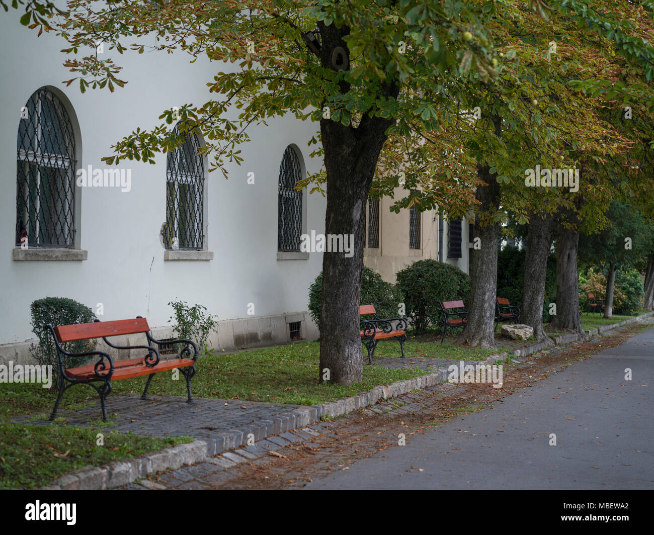 Trees and benches along roadway, Buda's Castle District, Budapest ...