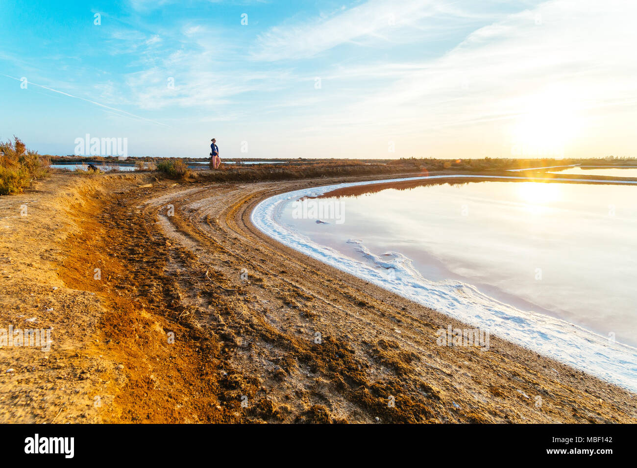 Ria formosa lagoon algarve flamingo hi-res stock photography and images ...