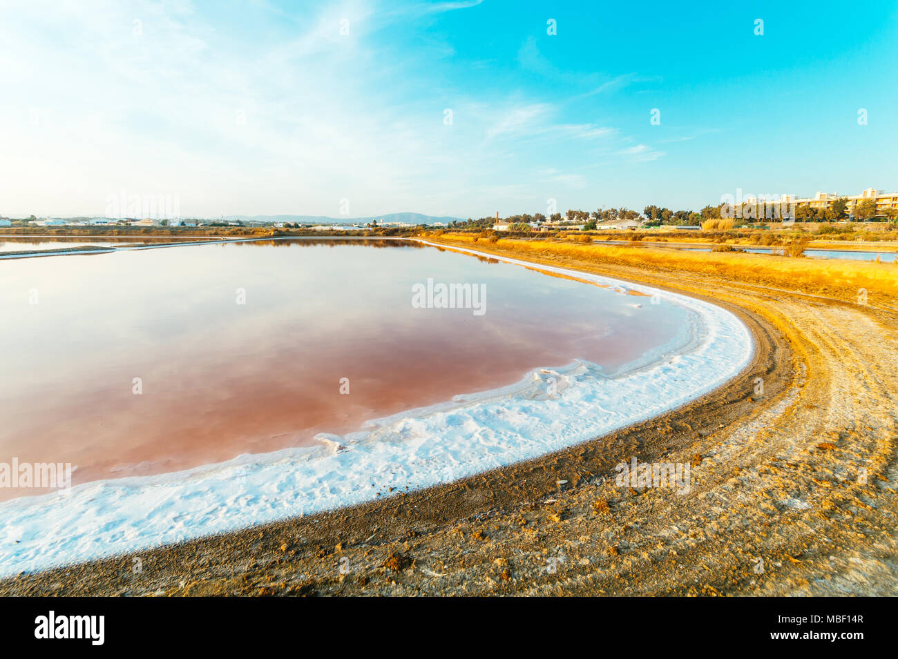 Ria formosa natural park flamingo hi-res stock photography and images ...
