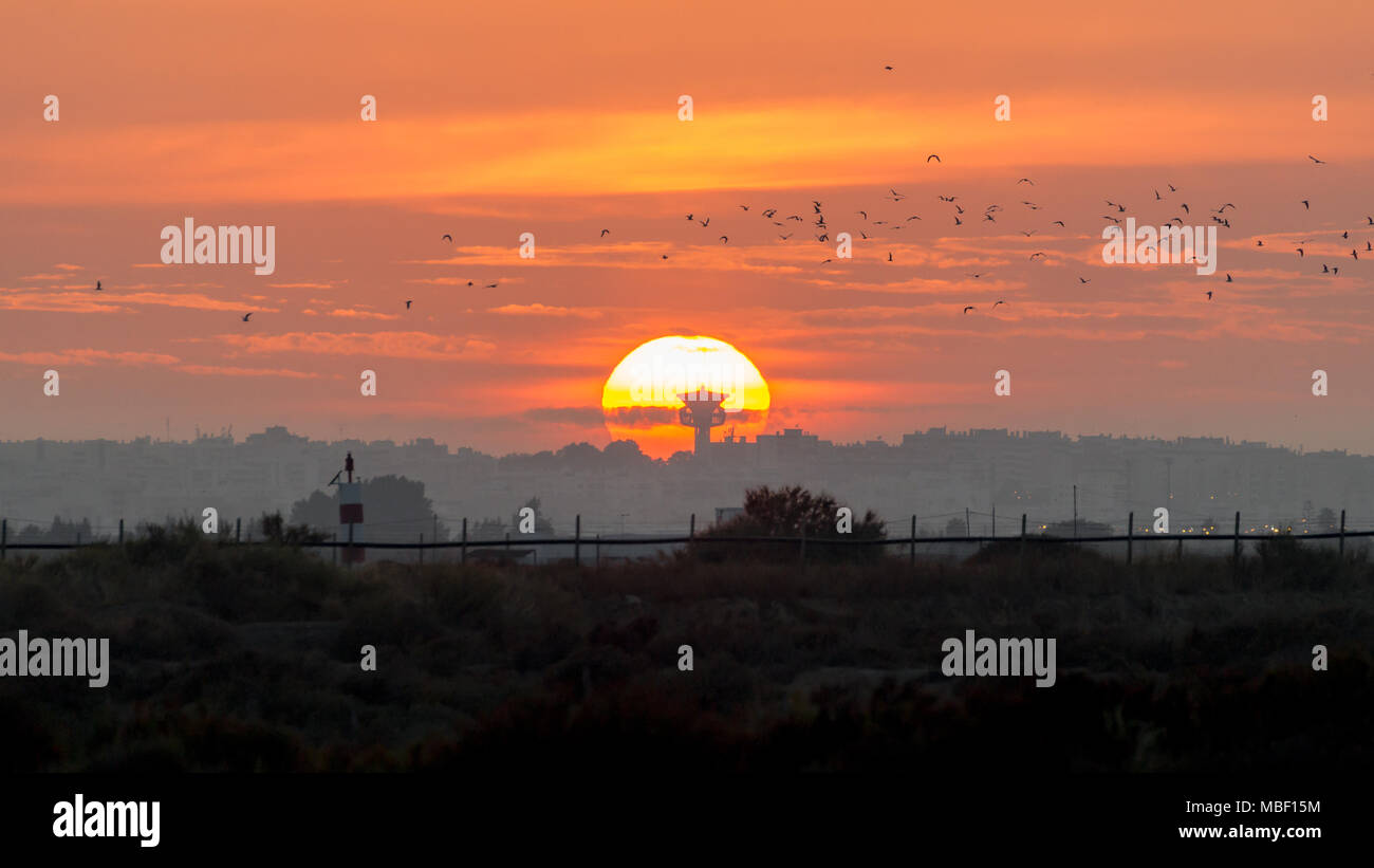 Sun set at the salt evaporation ponds at the flamingo watch reserve in ...