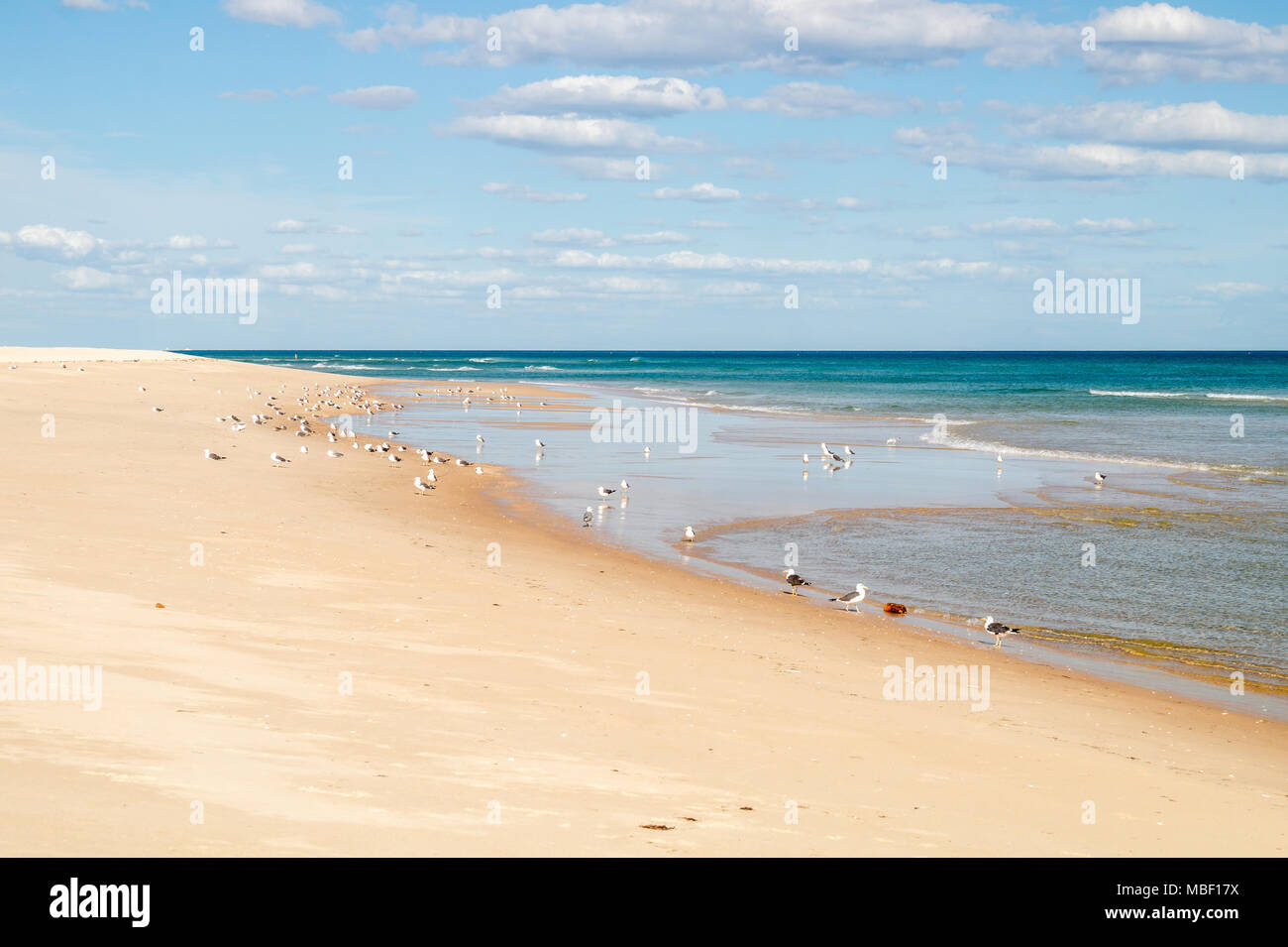 Sunny view of the lagoon beach of Fuseta, Ria Formosa Natural park ...