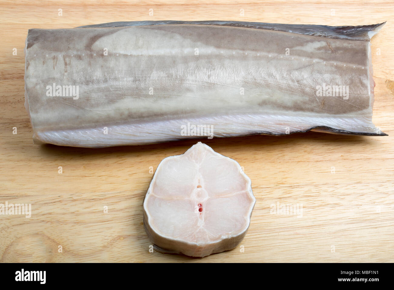 Conger eel bones hi-res stock photography and images - Alamy