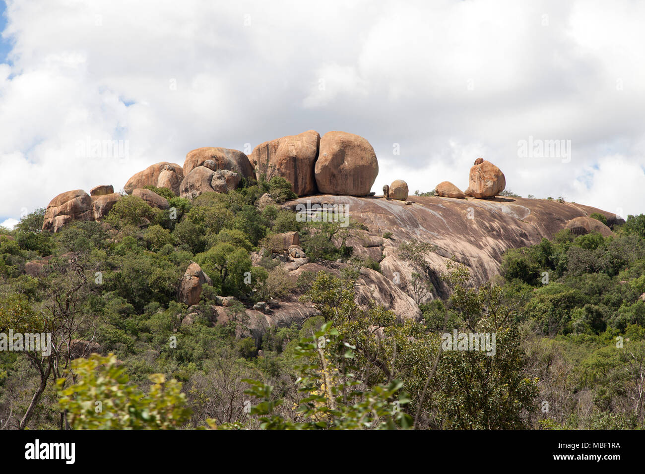 Kopje zimbabwe hi-res stock photography and images - Alamy