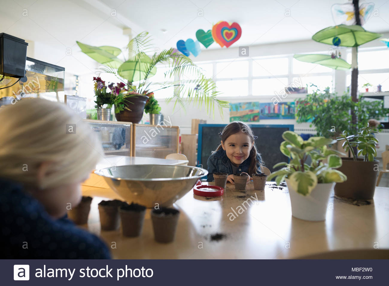 Plants classroom hi-res stock photography and images - Alamy