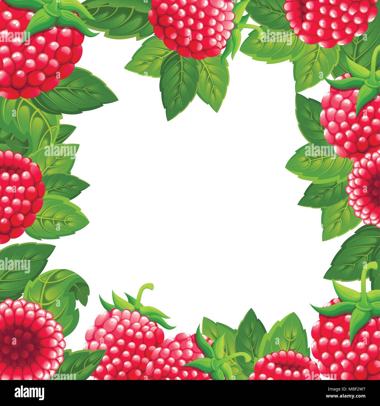 Pattern of raspberry. Vector illustration of raspberry with green ...