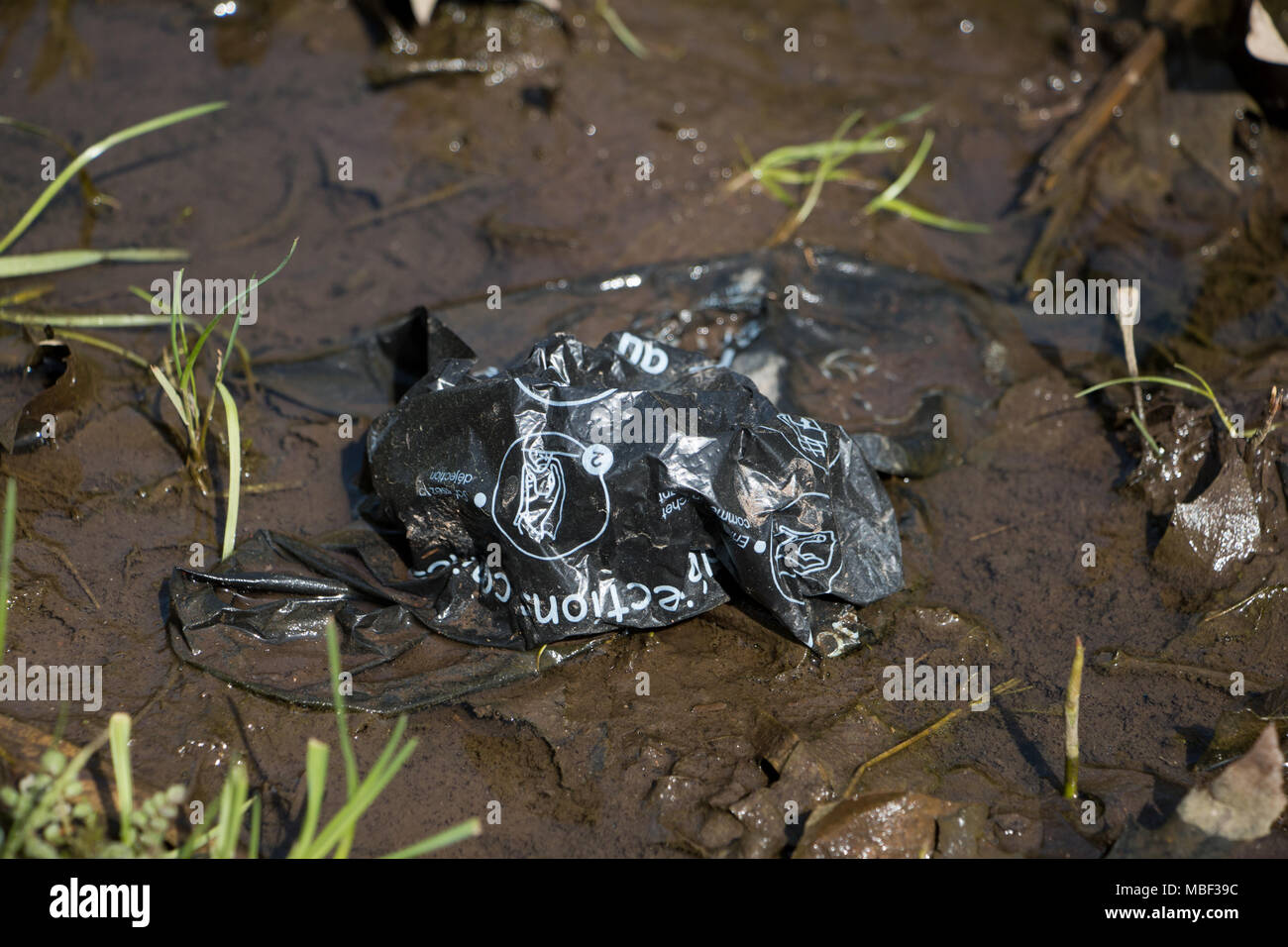 Black plastic bag in the mud Stock Photo - Alamy