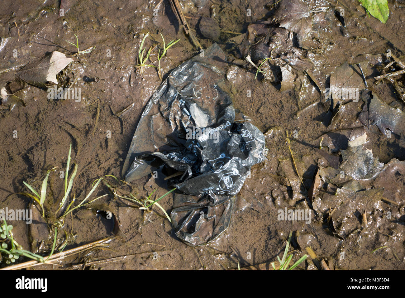 Black plastic bag in the mud Stock Photo - Alamy