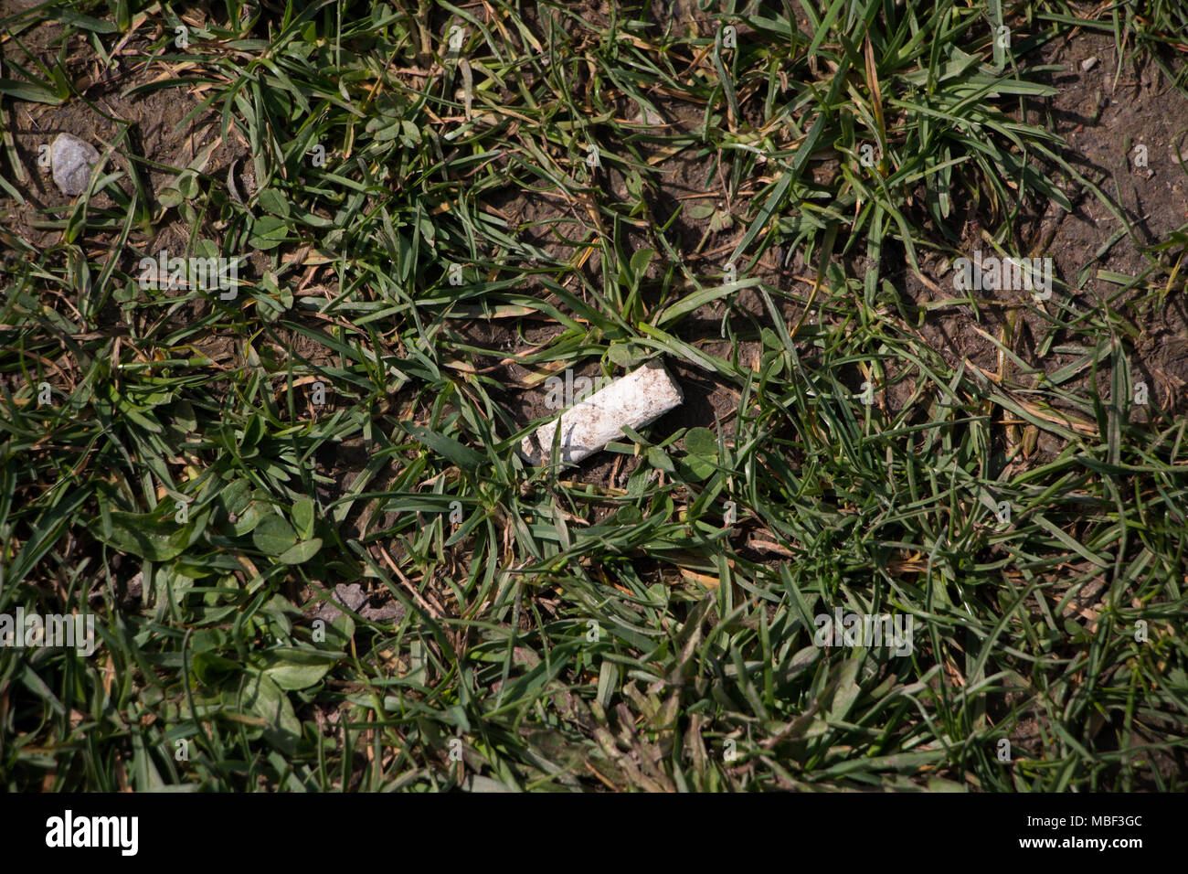 Cigarette end in the mud Stock Photo - Alamy