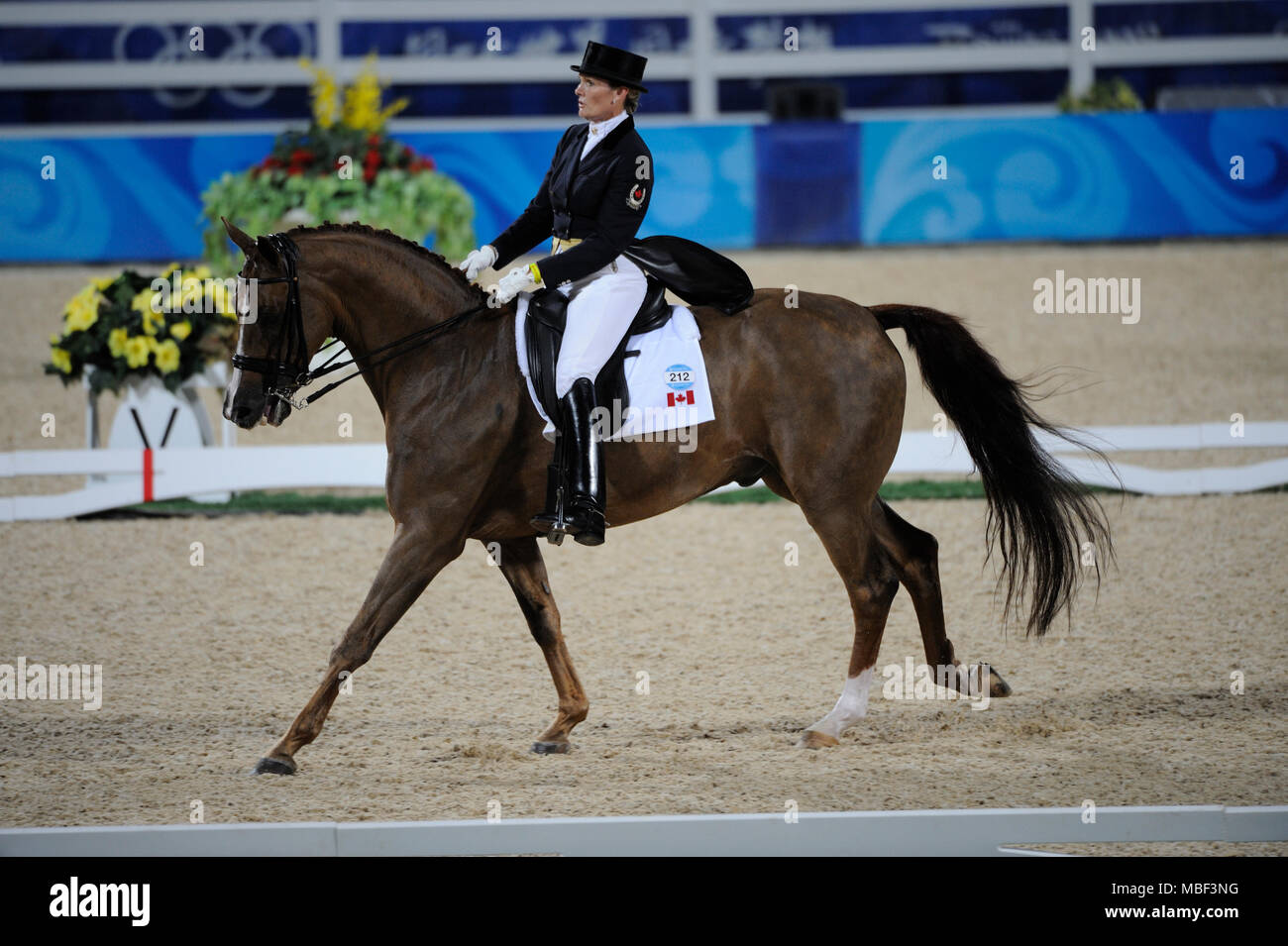 Ashley holzer hi-res stock photography and images - Alamy