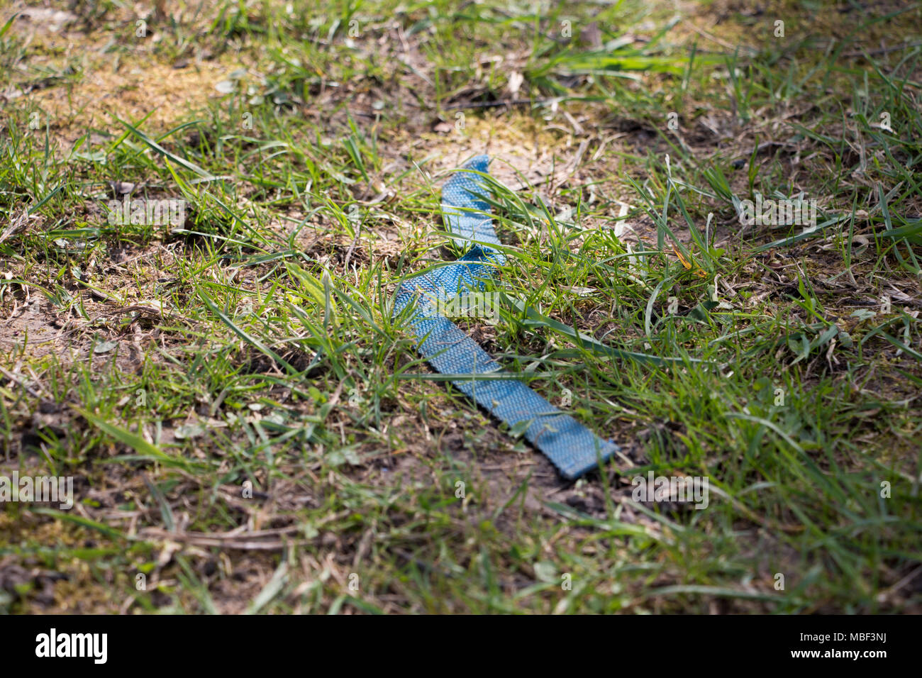 Broken strap from a bag, lying on the ground Stock Photo - Alamy