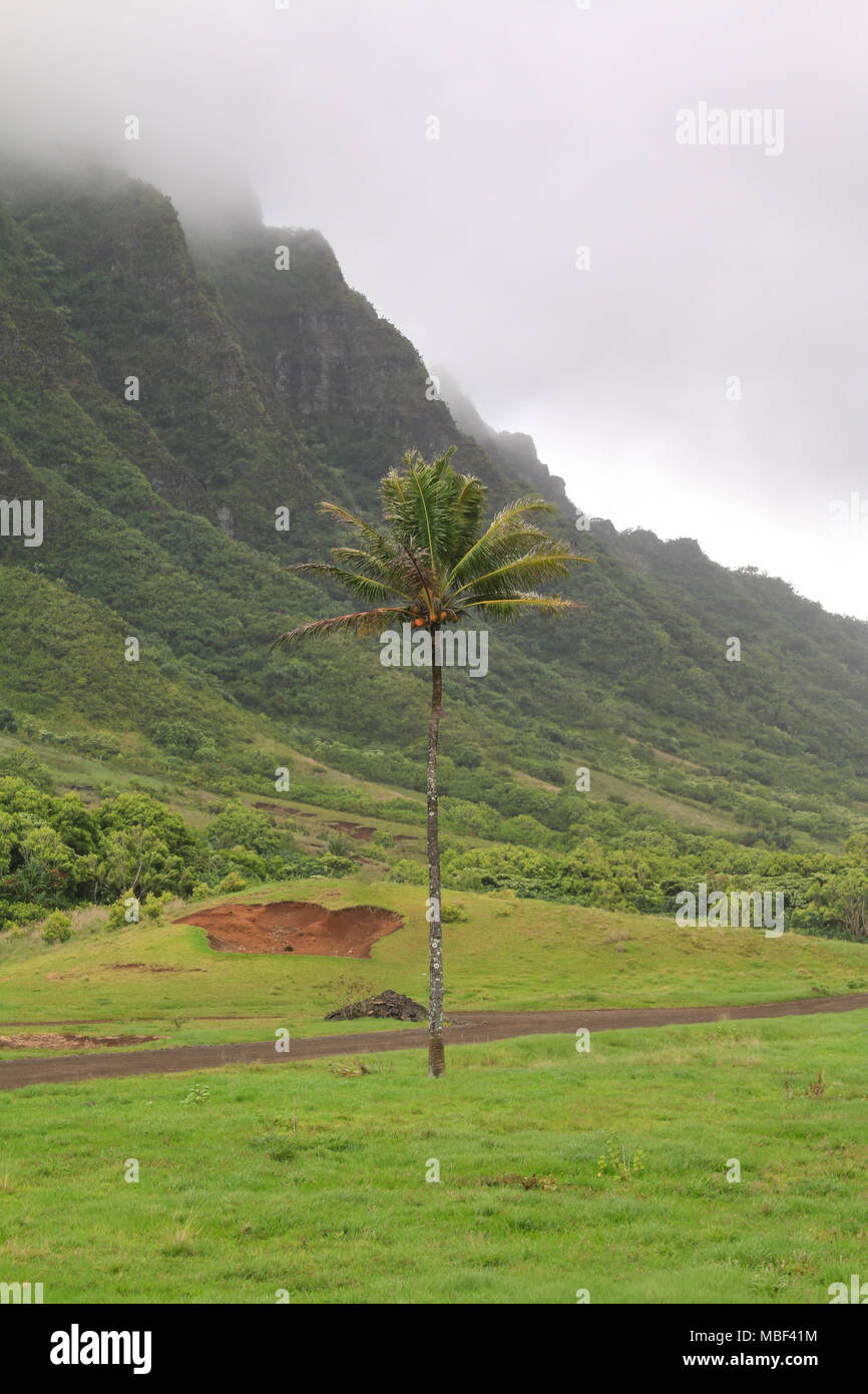 A magnificent view of Kualoa Ranch, Hawaii Stock Photo - Alamy