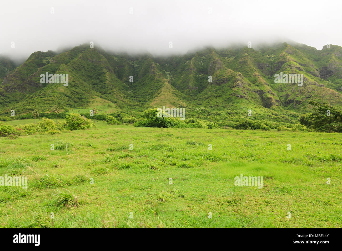 A magnificent view of Kualoa Ranch, Hawaii Stock Photo - Alamy