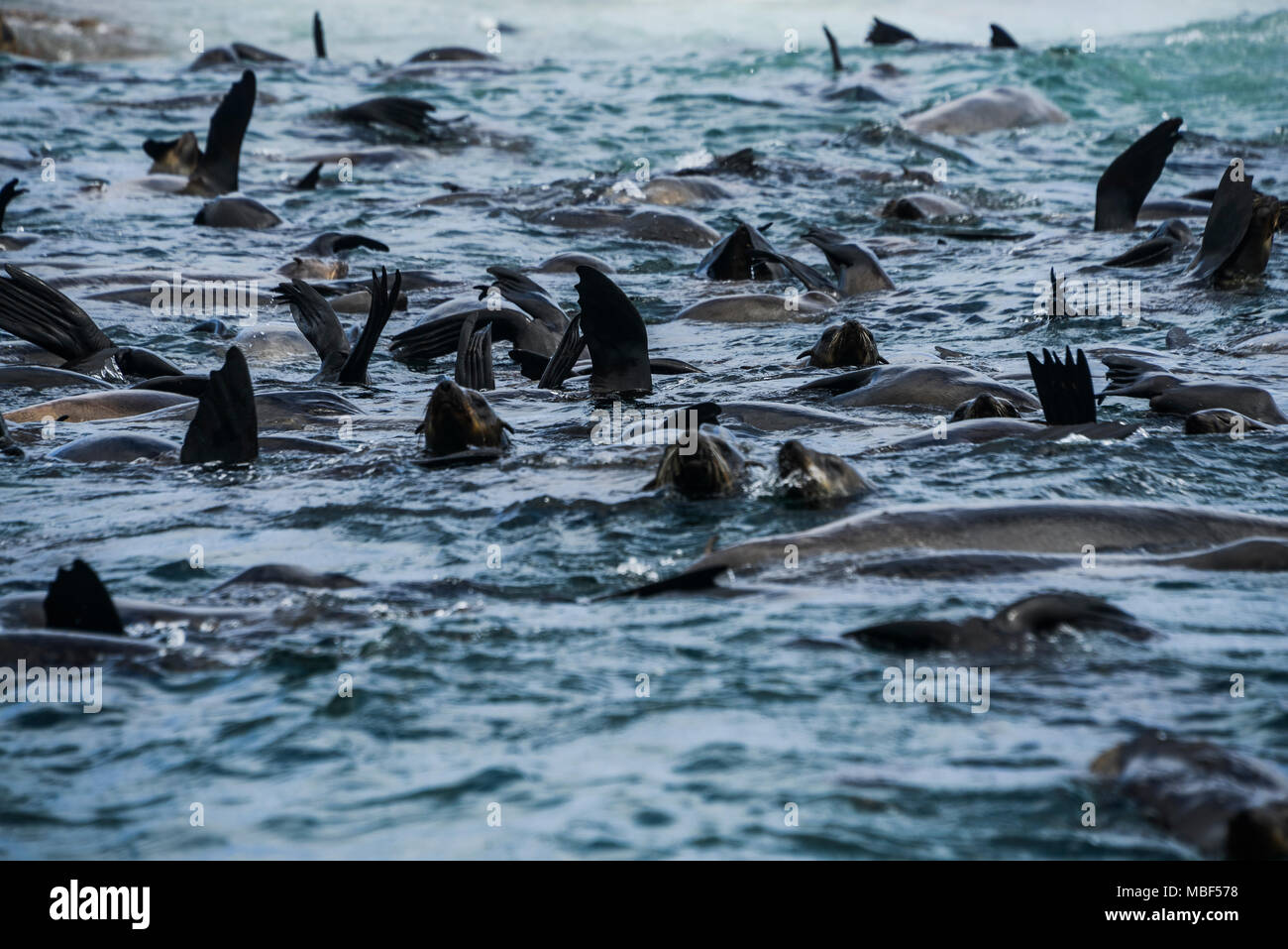 White water raft south africa hi-res stock photography and images - Alamy