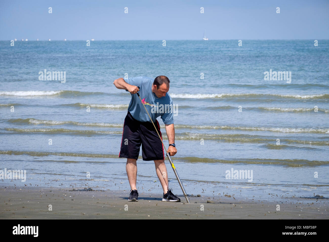 Fishermen catching lugworms or ragworms with a bait pump Dunkirk beach ...