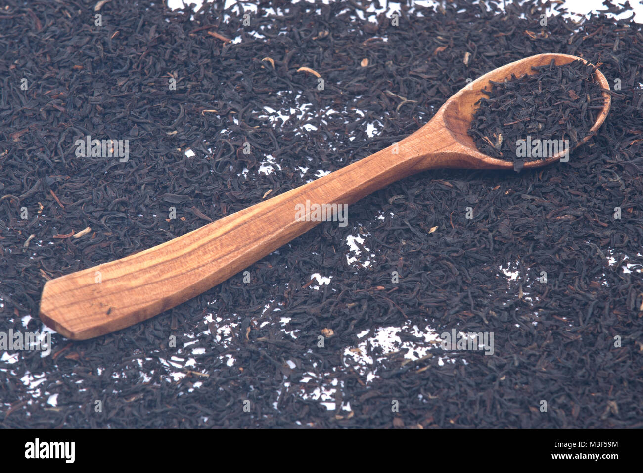 Assam tea camellia sinensis hi-res stock photography and images - Alamy