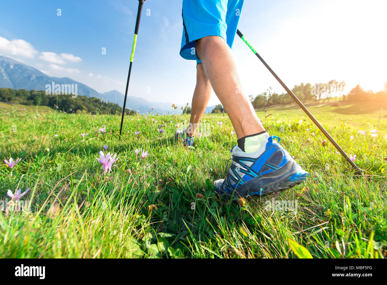 Walk in the meadow with spring flowers with Nordic walking poles Stock ...