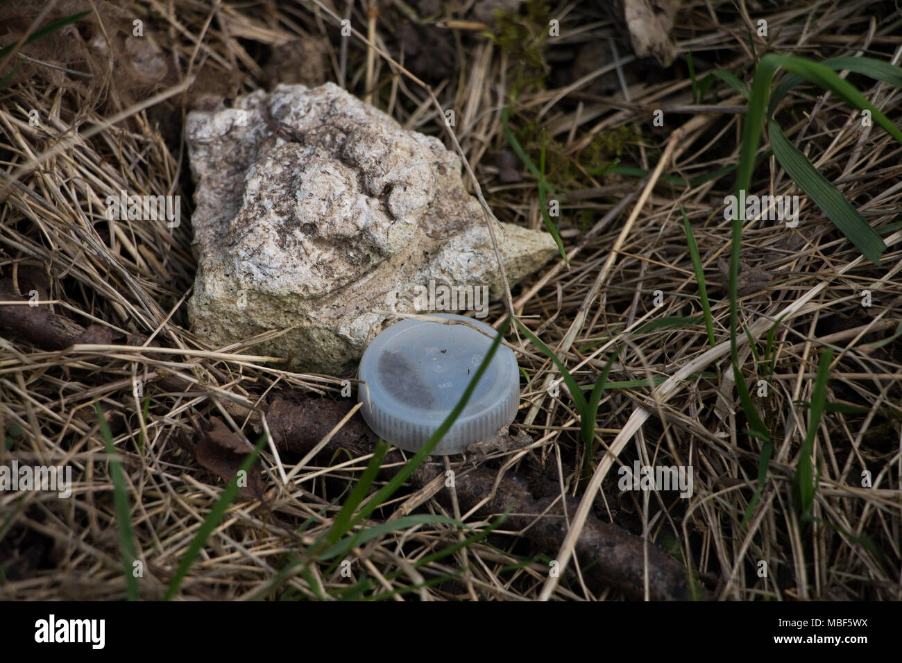 Plastic cap on the ground Stock Photo - Alamy