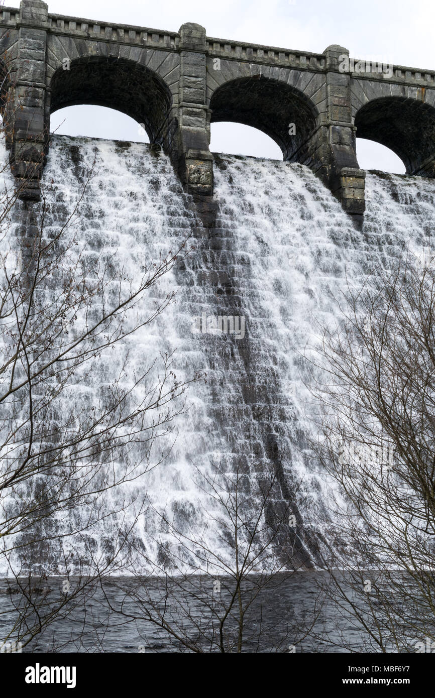 Stilling pool hi-res stock photography and images - Alamy
