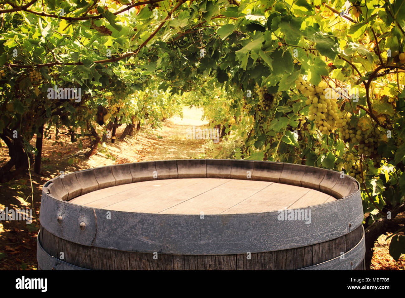 Wine Barrel Front Yard Landscape Creative Barrel Planter Ideas To