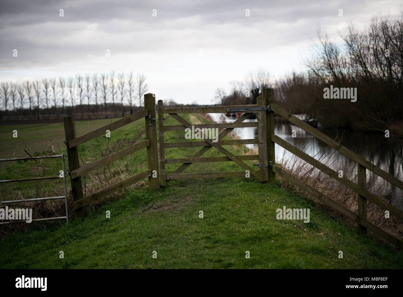 Lark trees hi-res stock photography and images - Alamy