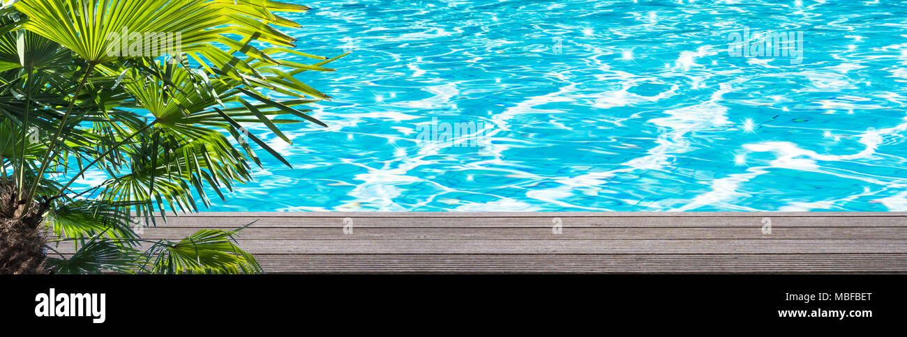 palm tree at the swimming pool Stock Photo - Alamy