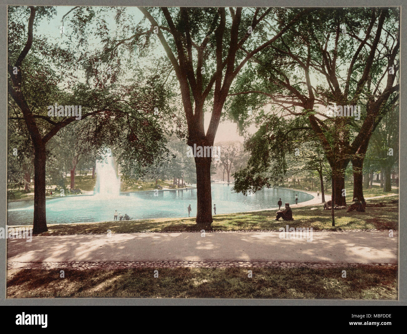 Boston frog hi-res stock photography and images - Alamy