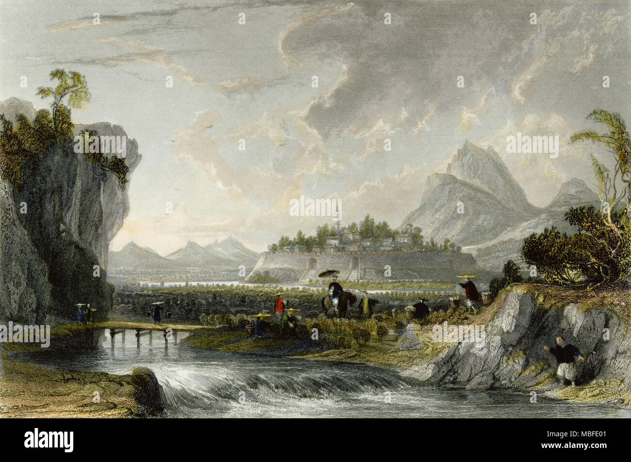 Cotton plantations ning po Stock Photo - Alamy