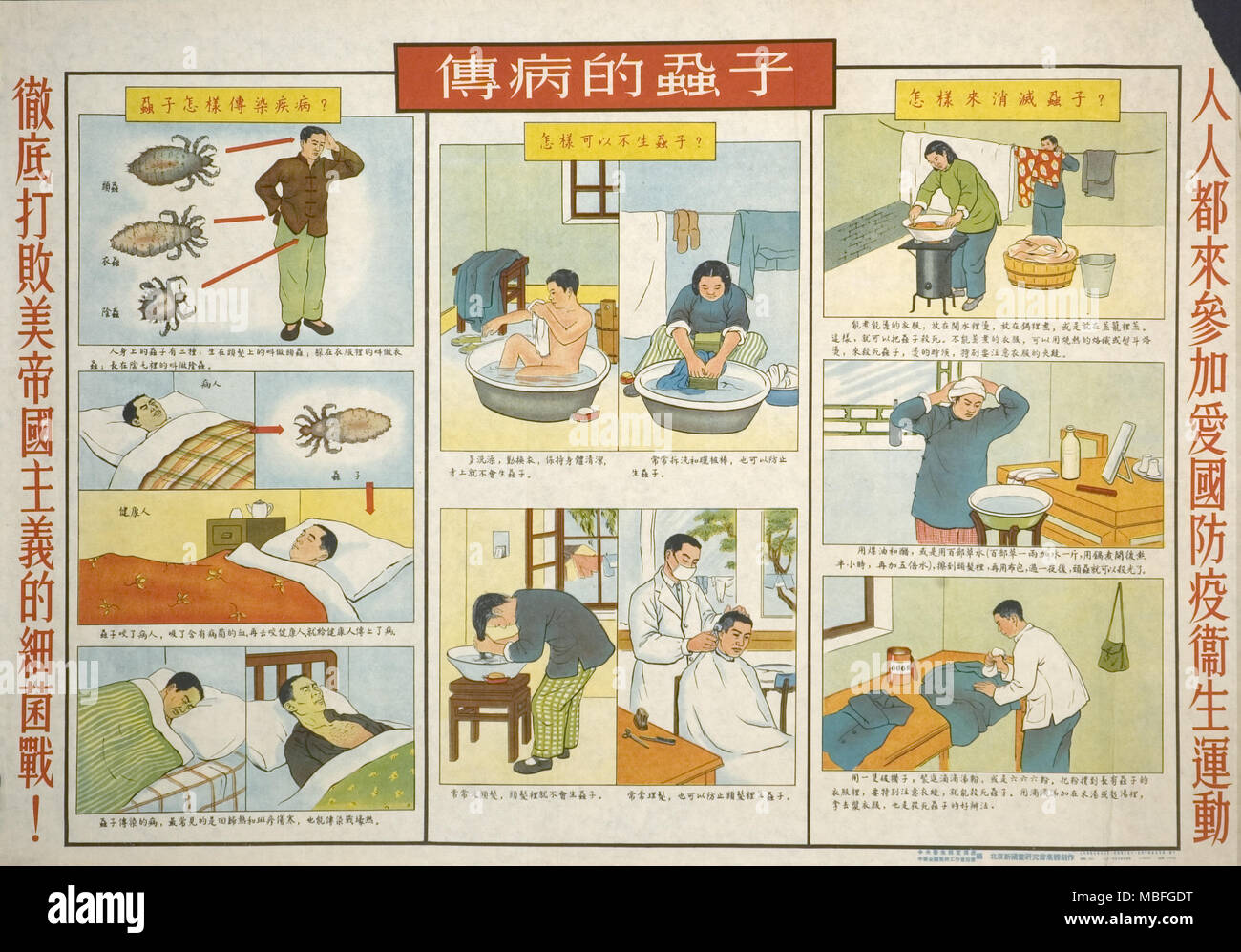 The Dangers of Lice & Trench Fever Stock Photo - Alamy