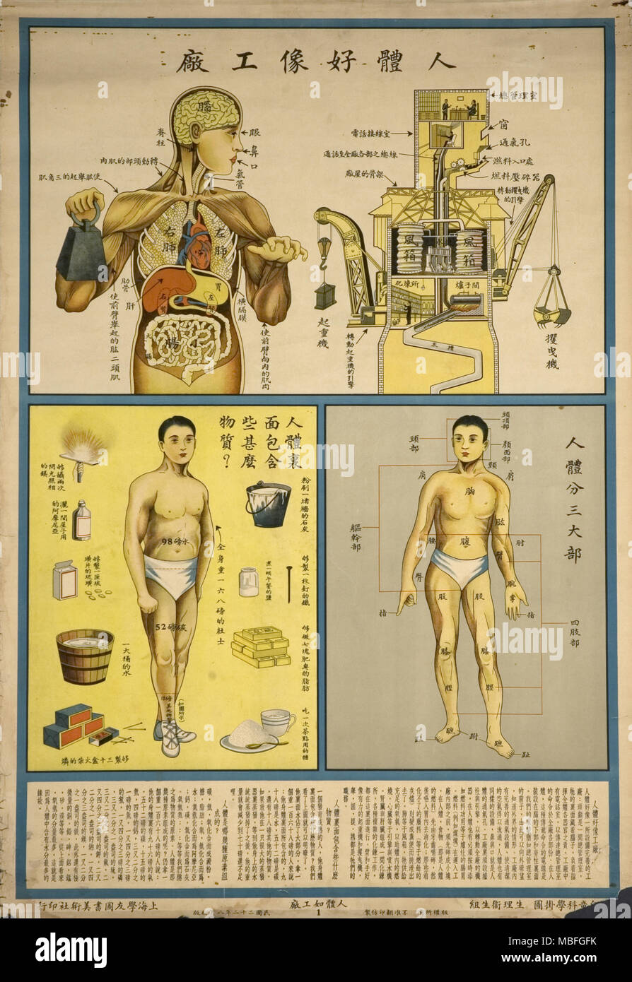 The Body is Like a Machine Anatomical Comparison; it is made up of ...