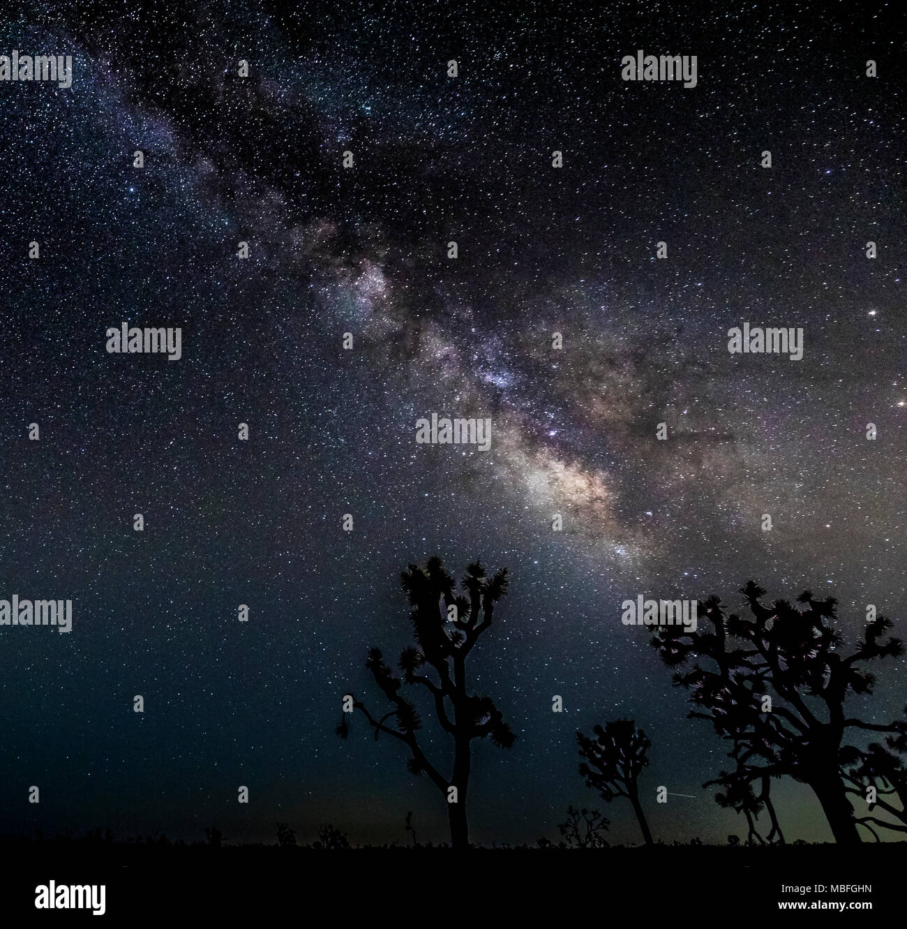 milky way galaxy joshua tree national park california us Stock Photo ...