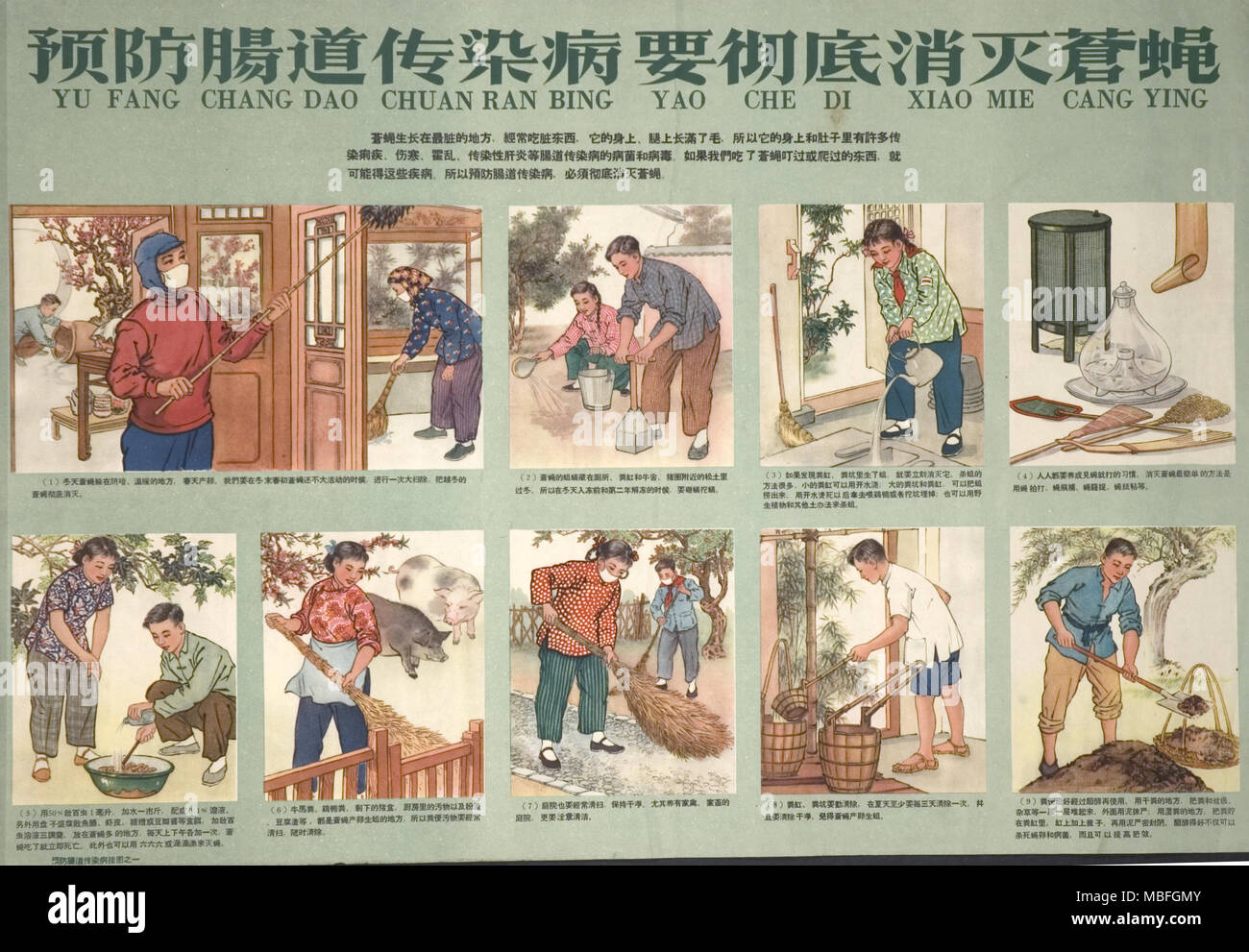 Housekeeping & Eliminating Flies Stock Photo - Alamy