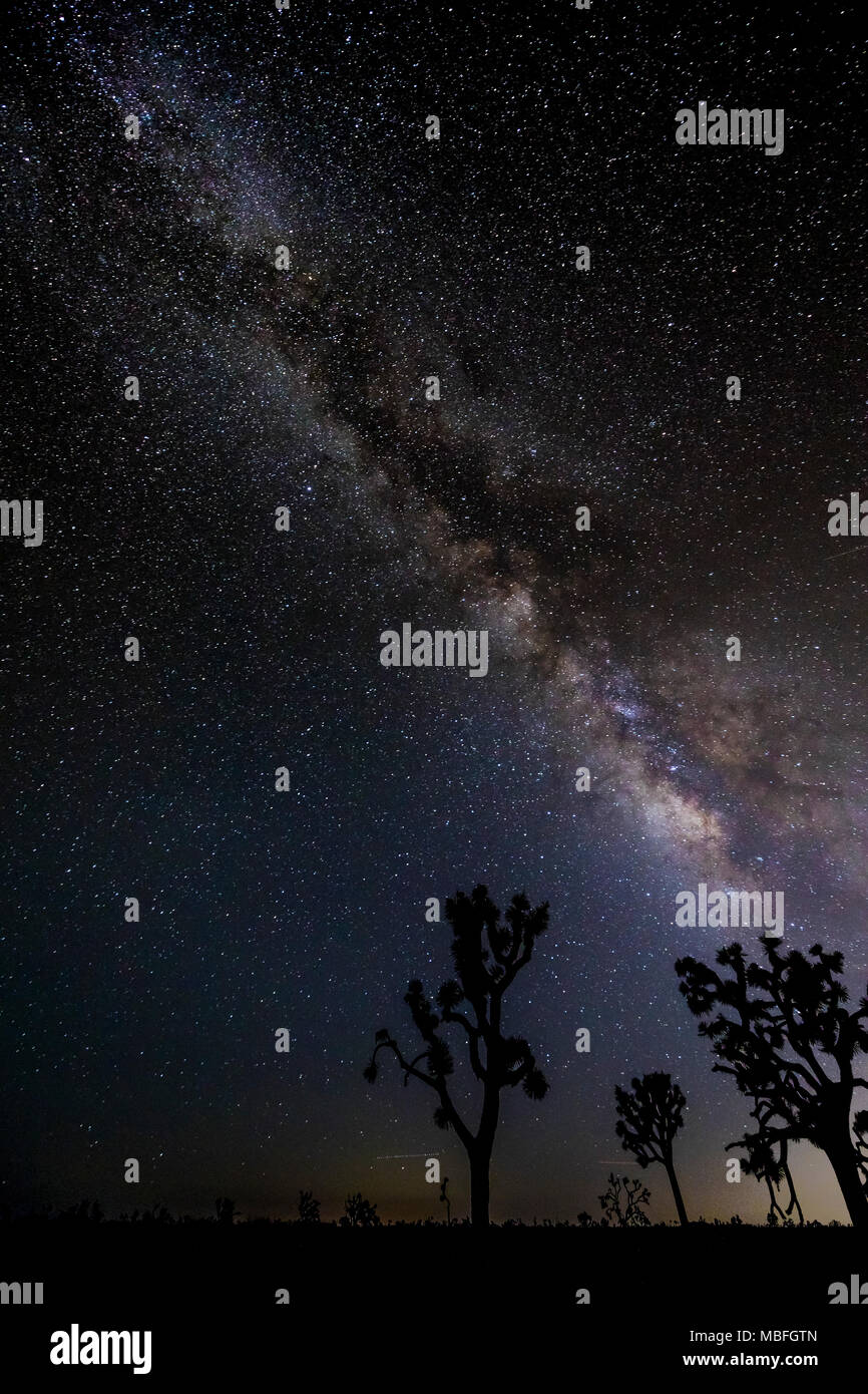 milky way galaxy joshua tree national park california us Stock Photo ...
