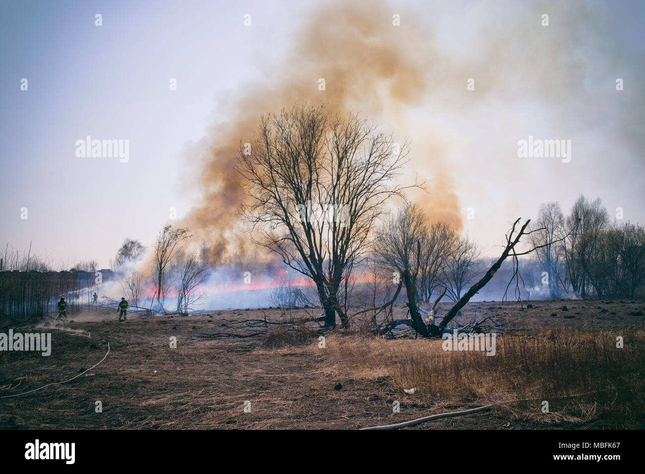 A burning meadow that was set on fire by an arsonist in an annual ...