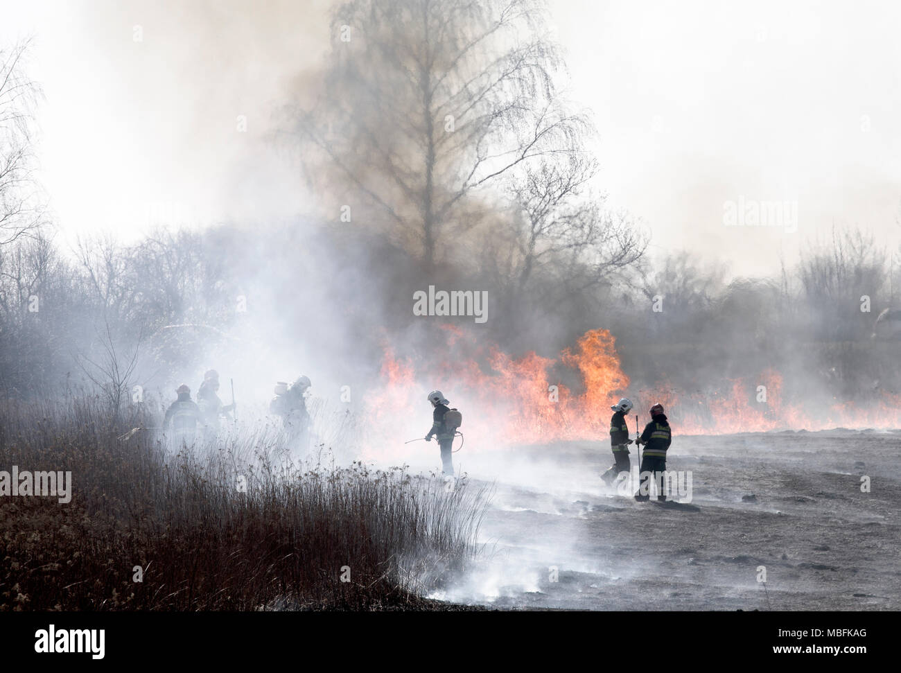 Fire meadow hi-res stock photography and images - Alamy