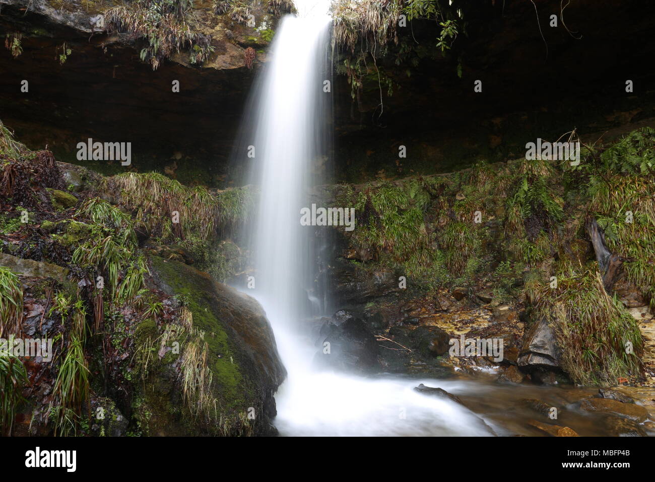 Yad Waterfall Maspie Den Falkland Fife Scotland April 2018 Stock Photo ...