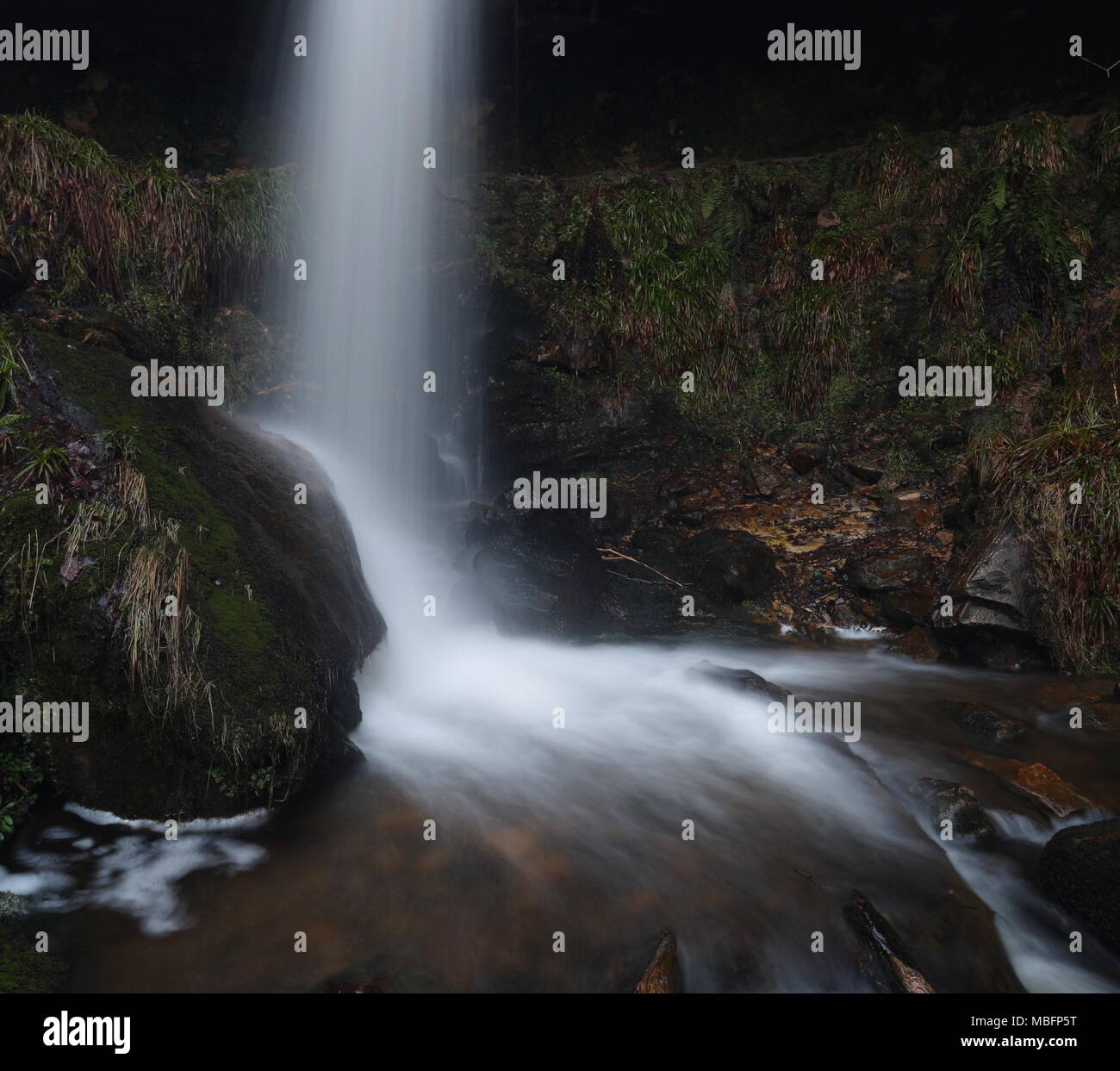 Scotland maspie den hi-res stock photography and images - Alamy