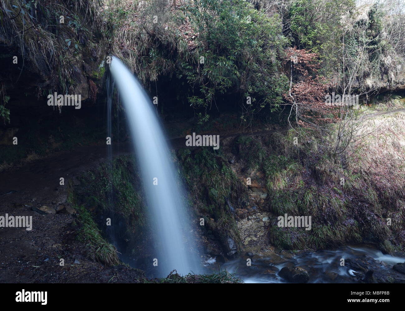 Yad Waterfall Maspie Den Falkland Fife Scotland April 2018 Stock Photo ...