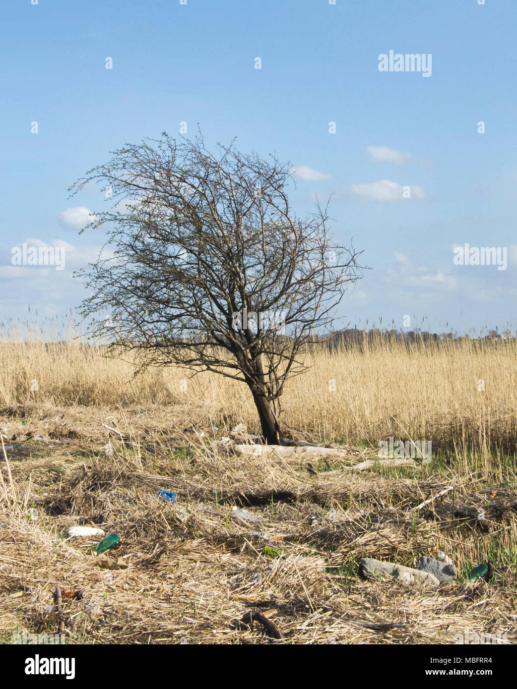 Plastic pollution field uk hi-res stock photography and images - Alamy