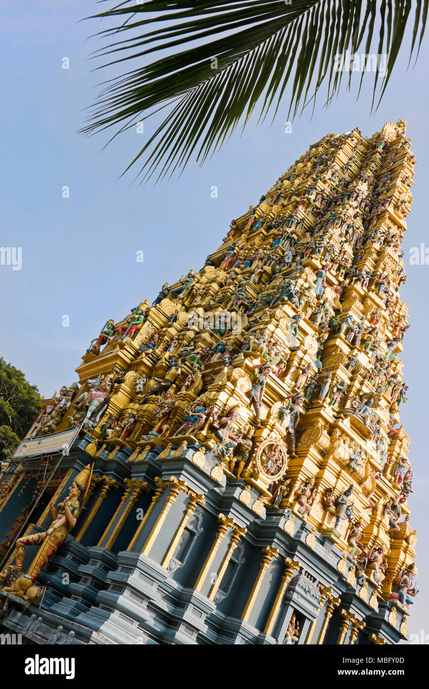 Vertical view of Sri Muthumariamman Temple in Matale, Sri Lanka Stock ...