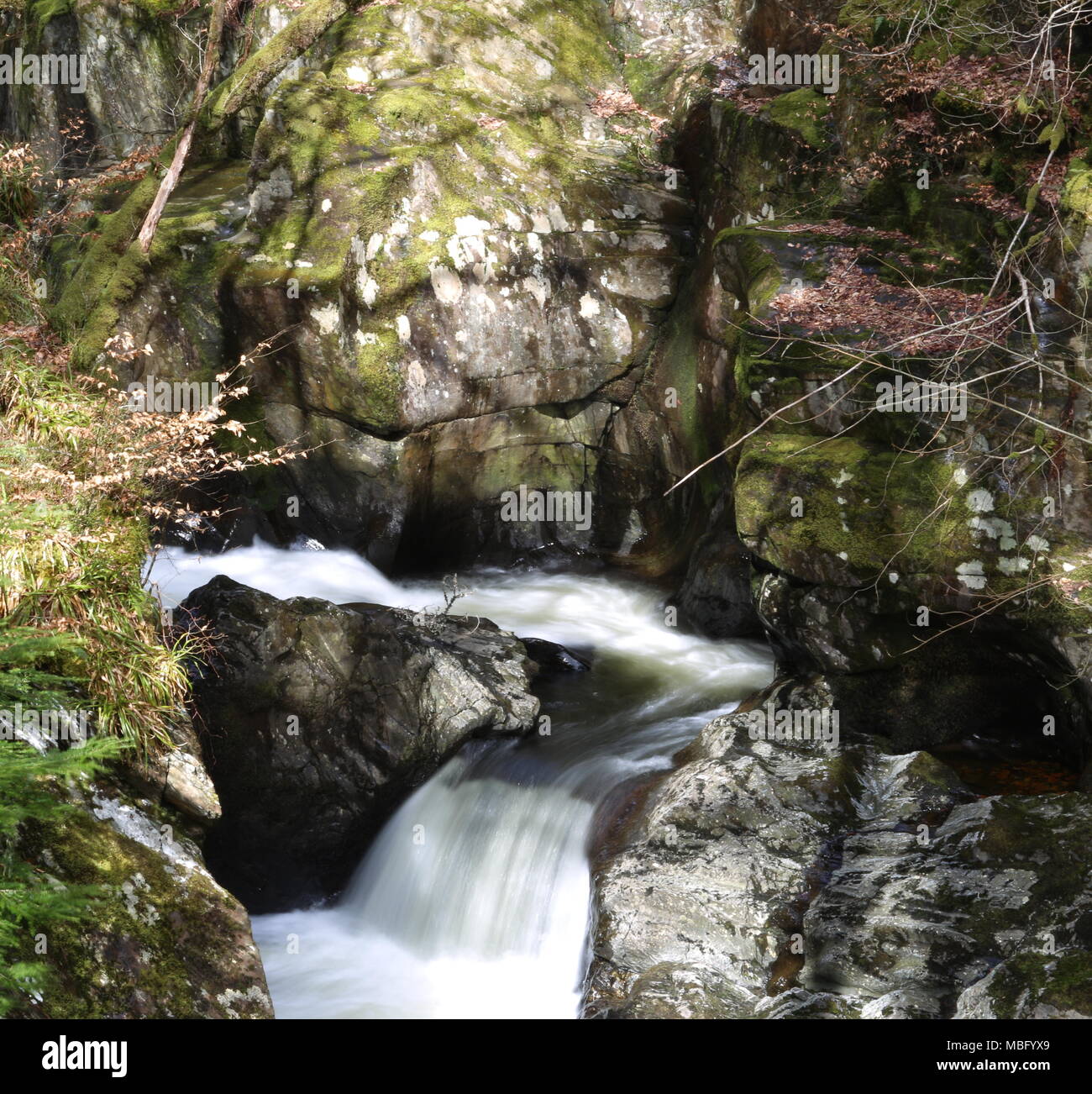 Wee caldron hi-res stock photography and images - Alamy